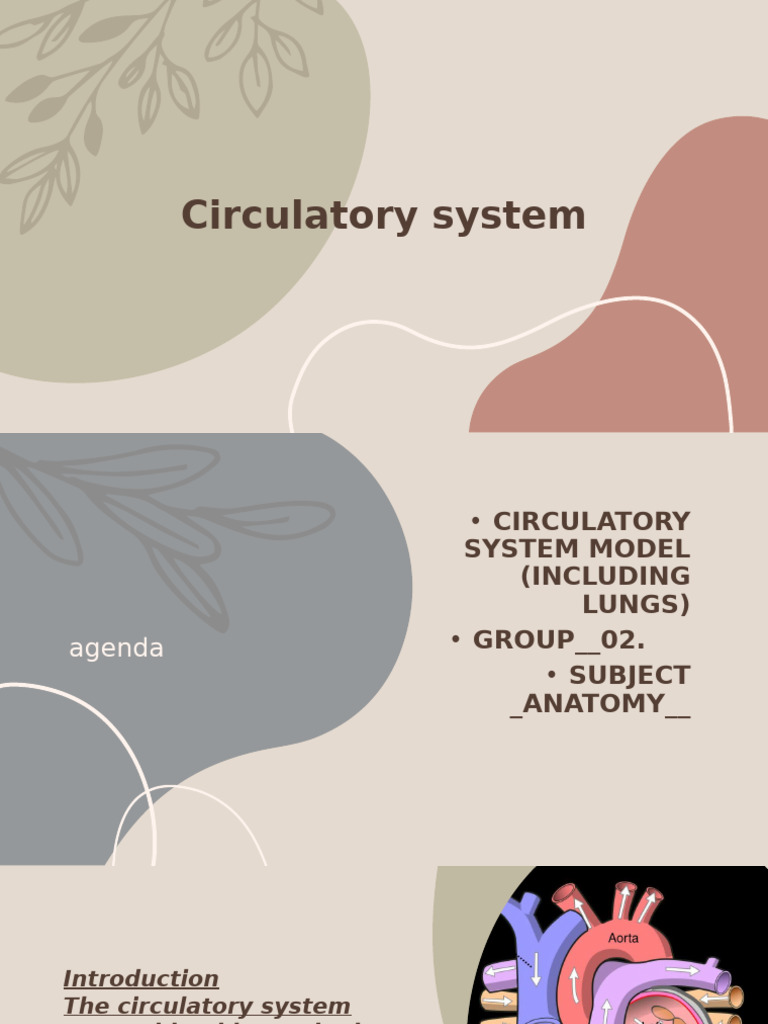 Circulatory System | PDF