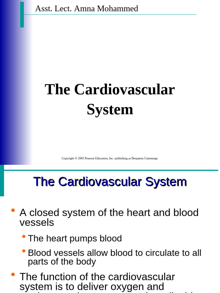 Chapter 11 - The Cardiovascular System | PDF | Heart Valve | Heart