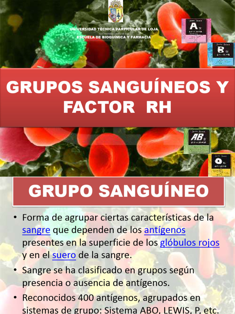 Grupos Sanguíneos y Factor Rh Explicados | PDF | Tipo de sangre ...