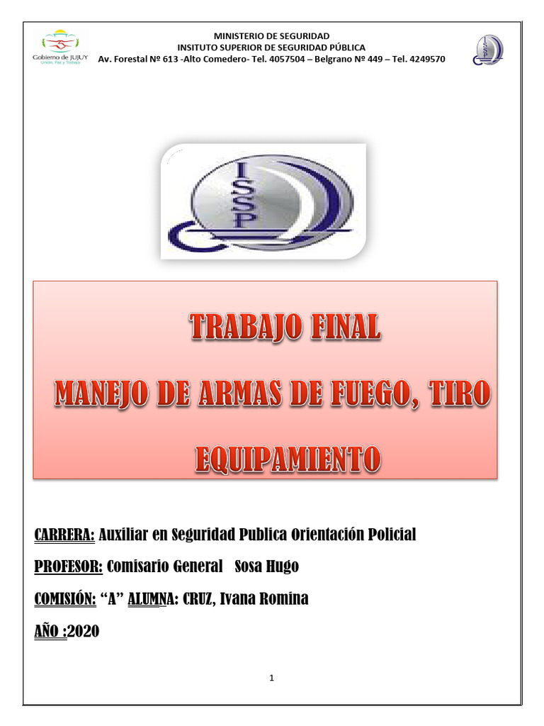 Cartuchería y Balística en Seguridad Pública | PDF | Armas de fuego ...