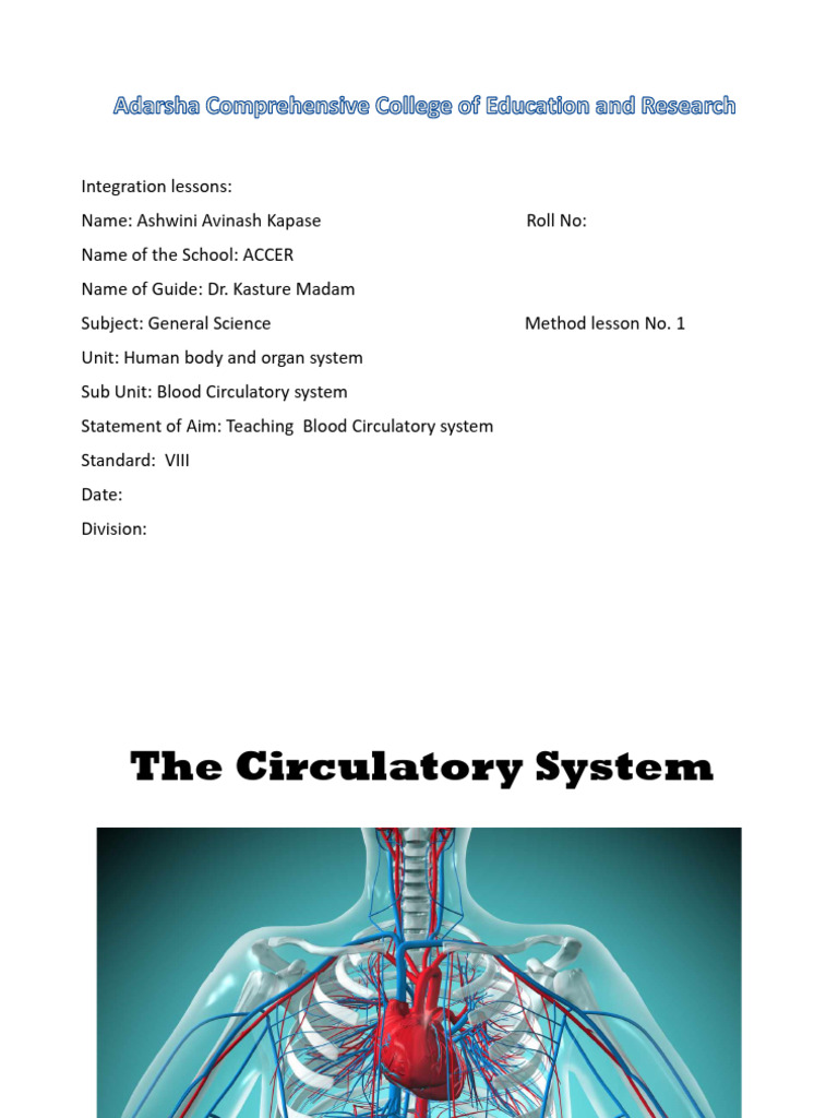 Circulatory system | PDF | Circulatory System | Heart