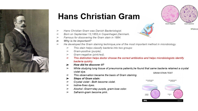 Hans Christian Gram and Gram Staining | PDF