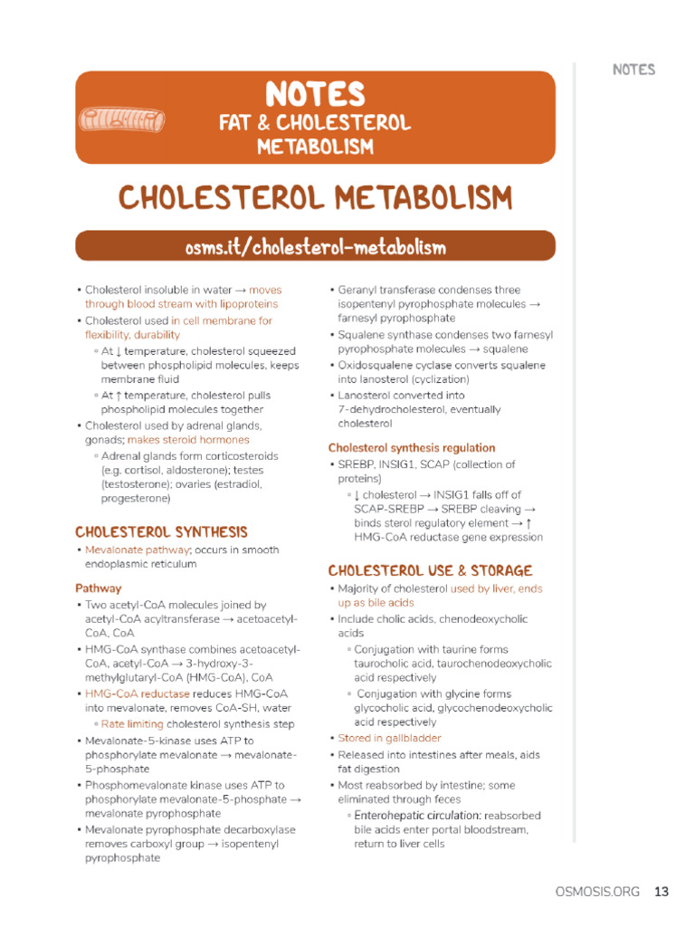 Fat & Cholesterol Metabolism | PDF