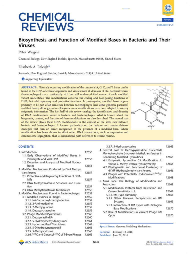 Biosynthesis and Function of Modified Bases in Bacteria and Their ...