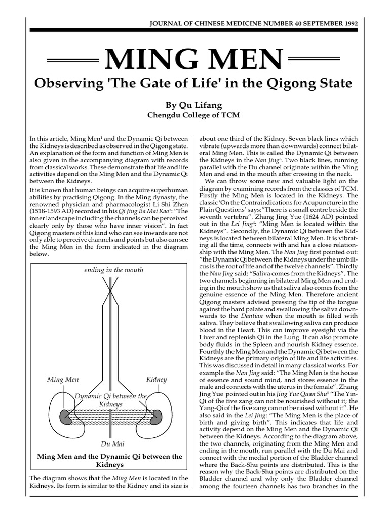 Ming Men: The Gate of Life in Qigong | PDF | Traditional Chinese ...