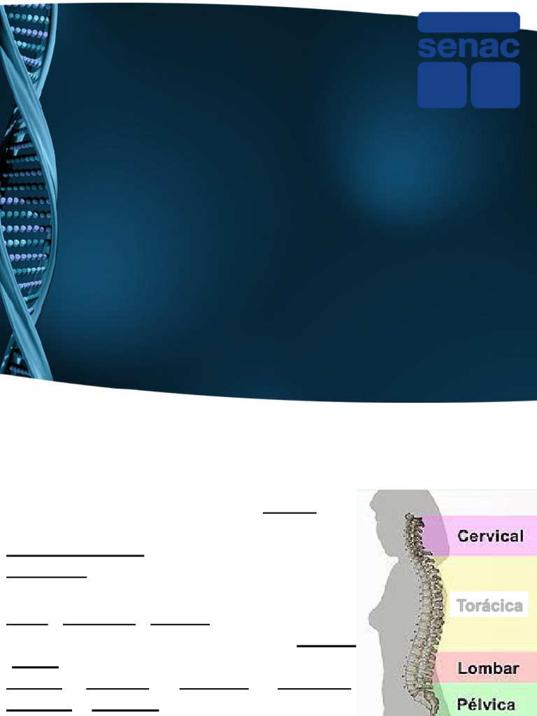 Doenças da Coluna Vertebral | PDF | Sistema Esquelético | Sistema Locomotor