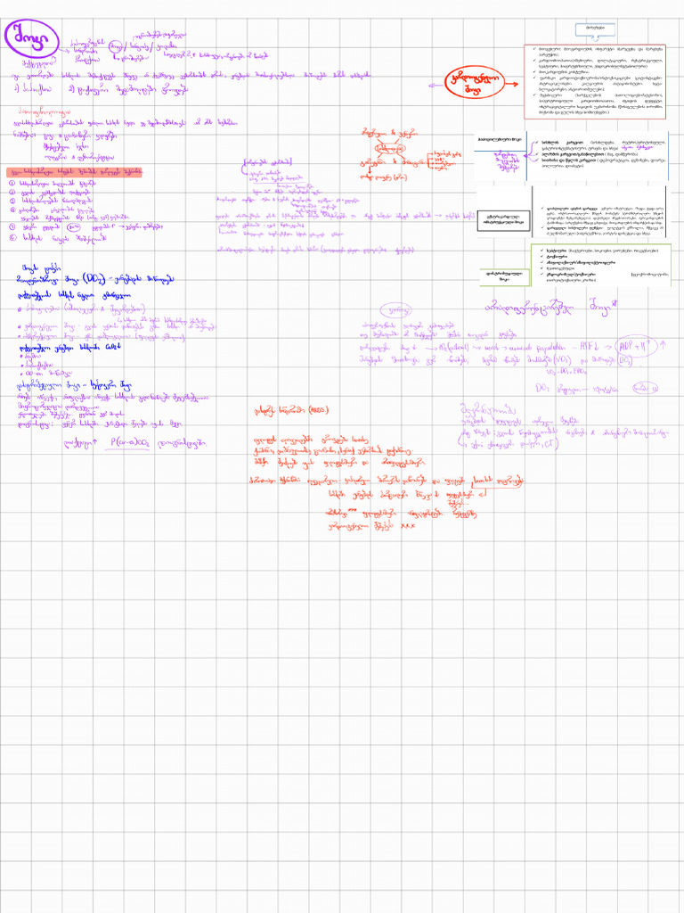 Notes_251109_191324 | PDF