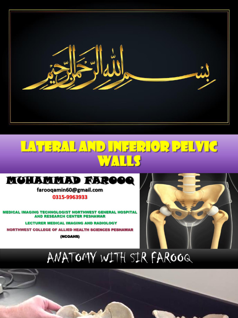 Anatomy of Lateral Pelvic Walls | PDF | Pelvis | Hip