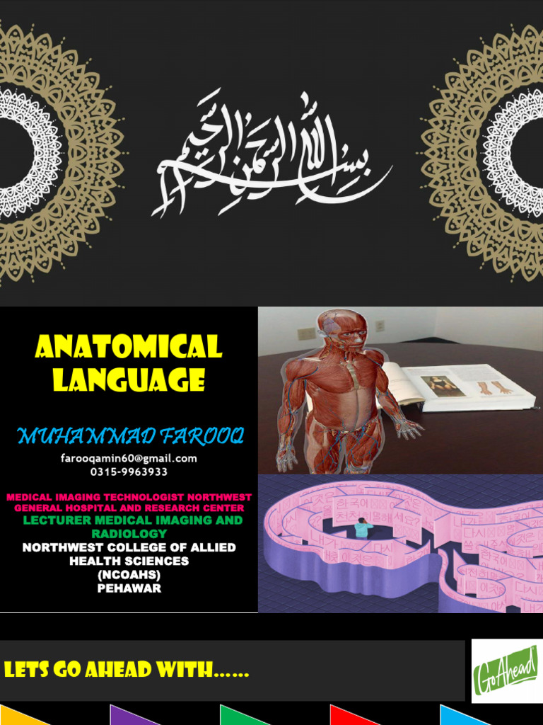 Lecture 2 Anatomical Language | PDF | Anatomical Terms Of Location ...