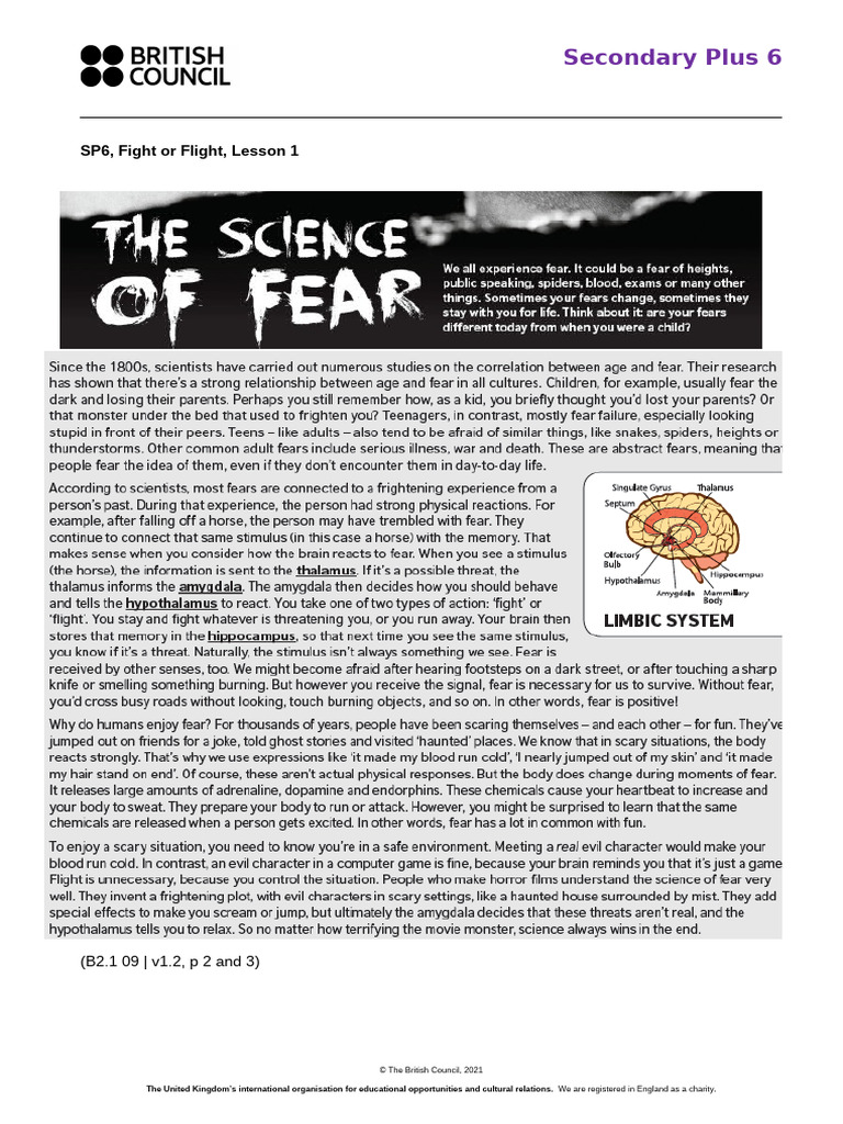 Understanding Fear: SP6 Lesson 1 | PDF
