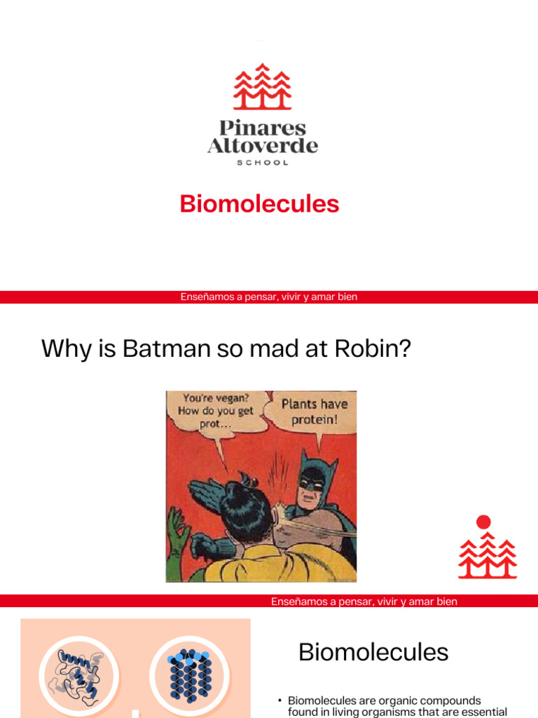 Biomolecules Lipids | PDF | Lipid | Biomolecules