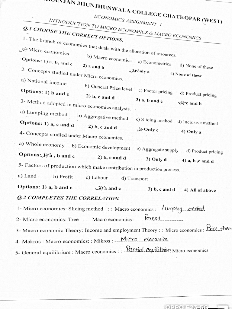 12 Comm Eco Assignment Ans | PDF