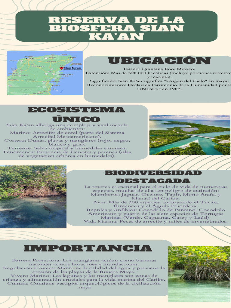 Infografia Proyecto de Investigacion Formas Curvas Verde y Azul ...
