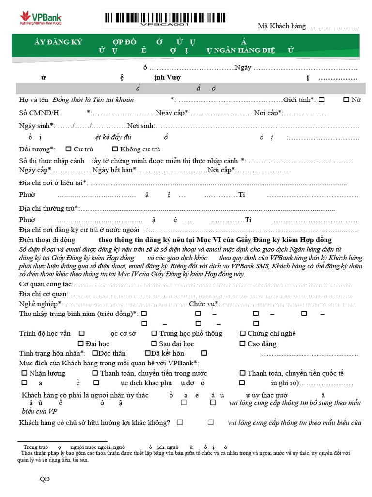 Form Dang Ky Mo TK | PDF