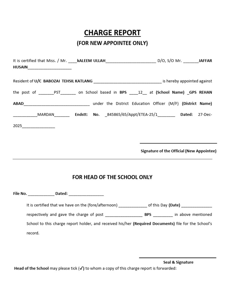 New Appointment Charge Report Template | PDF