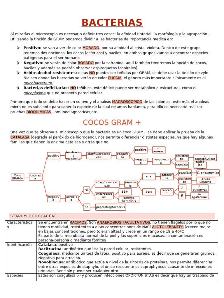 Clasificación y Patologías de Bacterias Gram+ | PDF | Diarrea ...