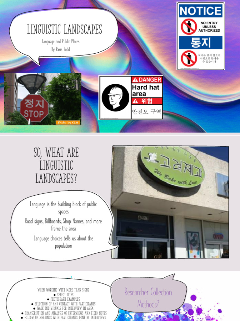 Linguistic Landscapes | PDF