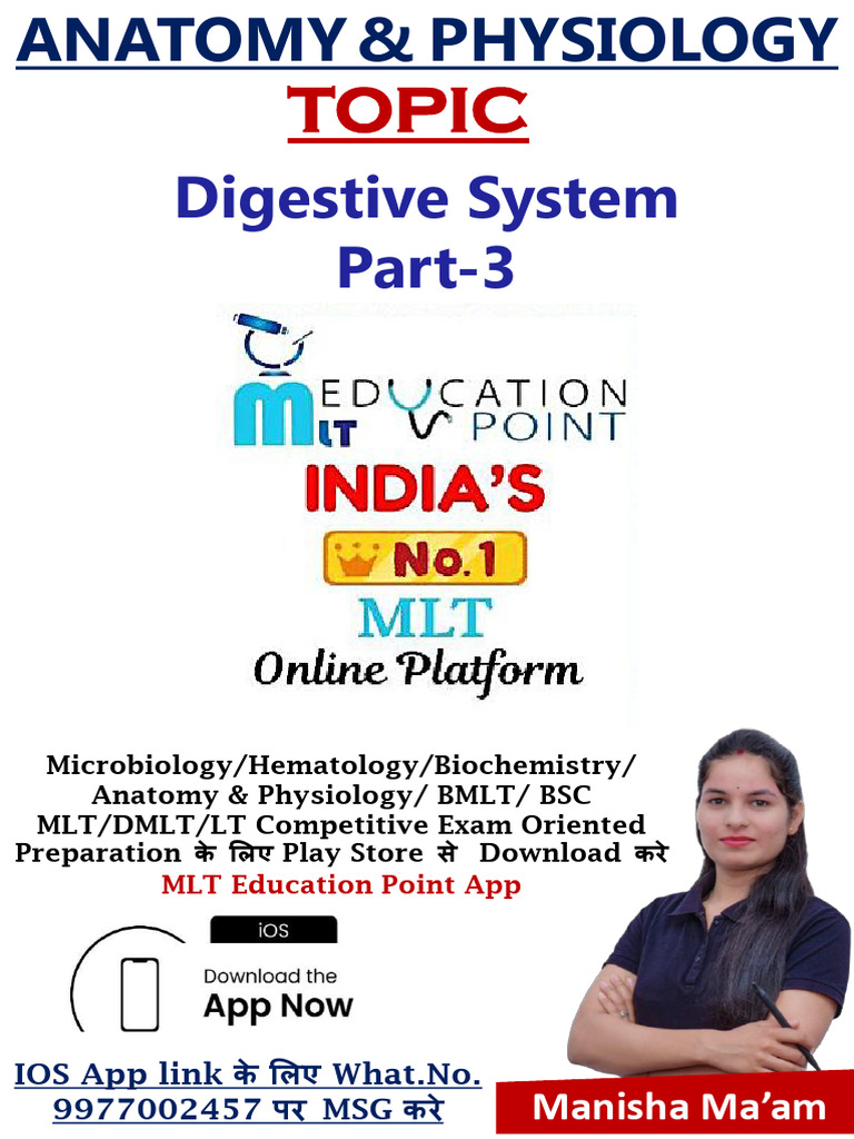 Digestive System Part 3 - C52eeccf 87f5 4d4d 8f04 17a4dd1145a1 | PDF ...
