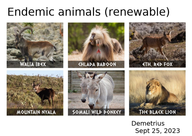Endemic Animals of Eth-BIO | PDF