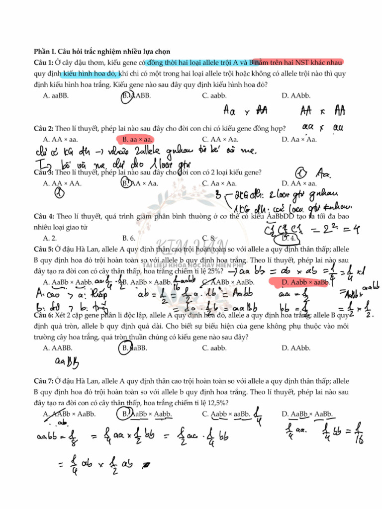 Bai Tap PLDL | PDF