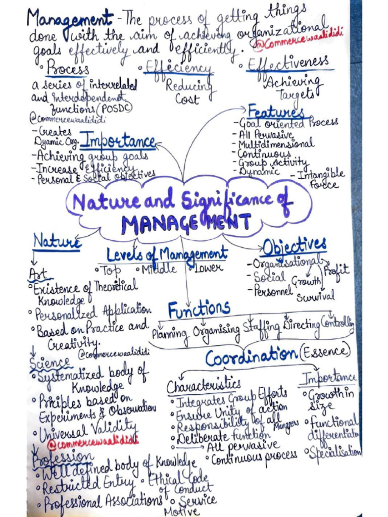 Business Studies Handwritten Notes | PDF