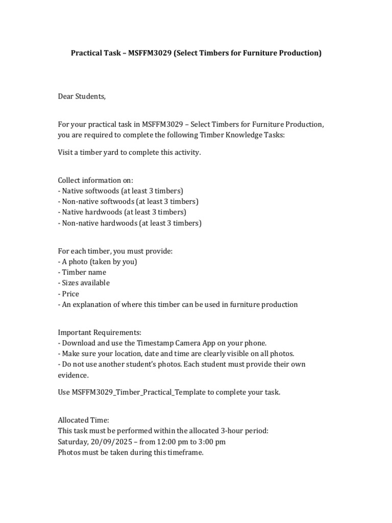 MSFFM3029 Practical Task Instructions | PDF