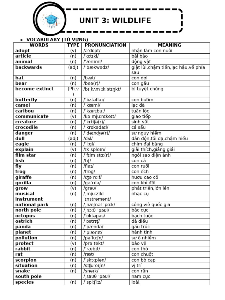 Unit 3 - HS k6 | PDF