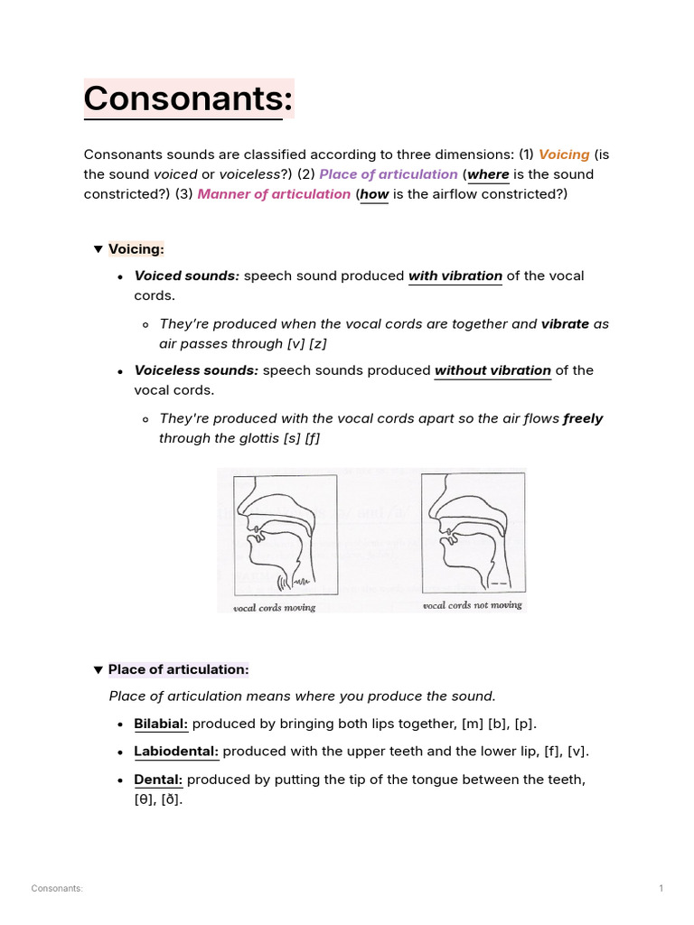 Understanding Consonant Sounds | PDF | Linguistics | Human Voice