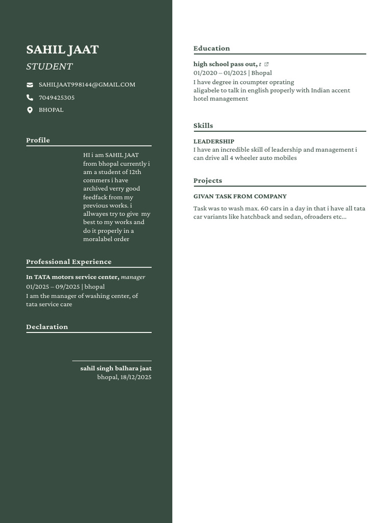 Sahil Jaat Flowcv Resume 20251218 | PDF