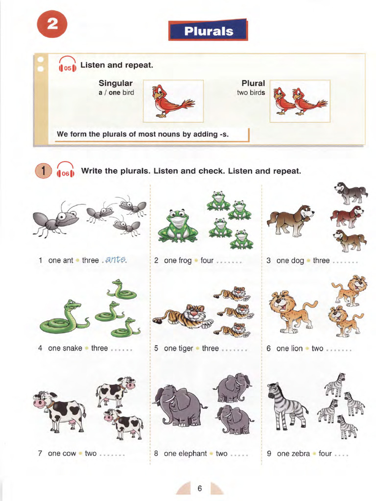Understanding English Plurals Guide | PDF