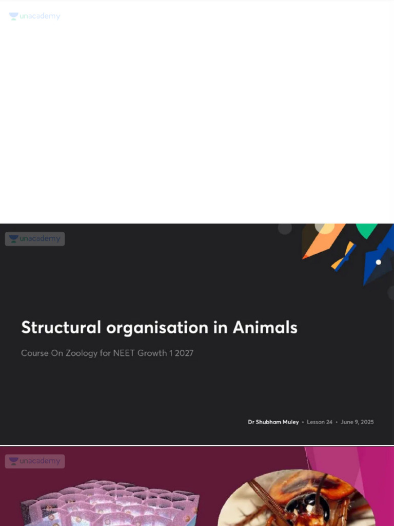 Structural Organisation in Animals With Anno | PDF