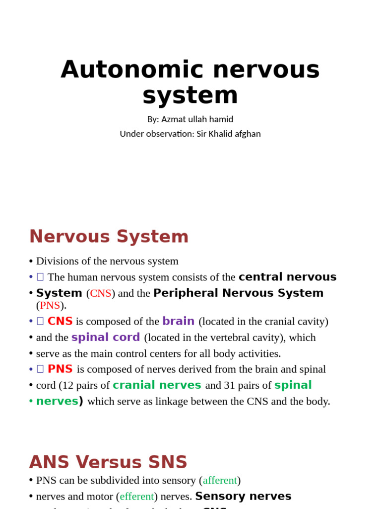 Autonomic Nervous System | PDF | Autonomic Nervous System | Nervous System