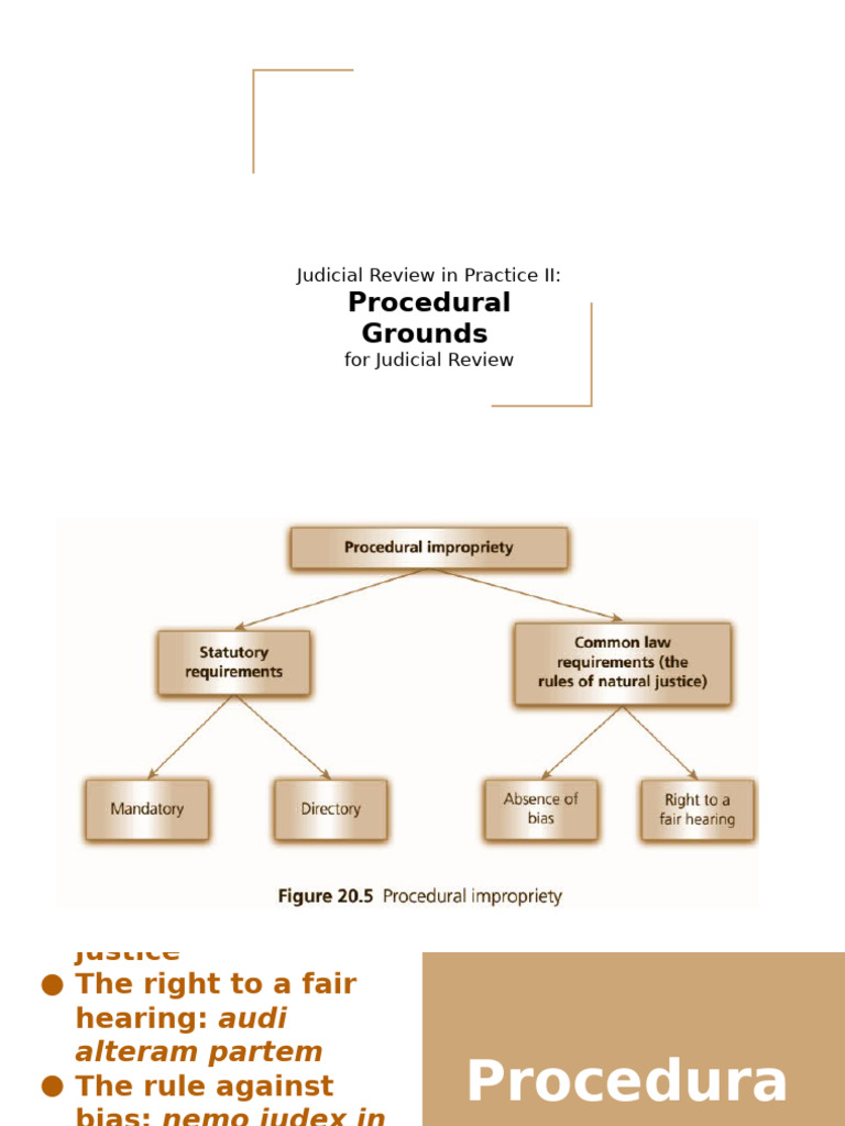 Procedural Grounds for Judicial Review | PDF | Common Law | Justice