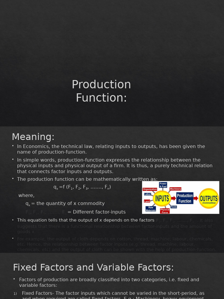 Understanding Production Functions in Economics | PDF | Production ...