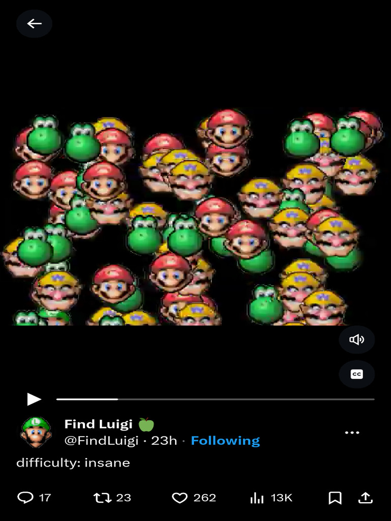 Find Luigi: !findluigi 23H Difficulty: Insane | PDF