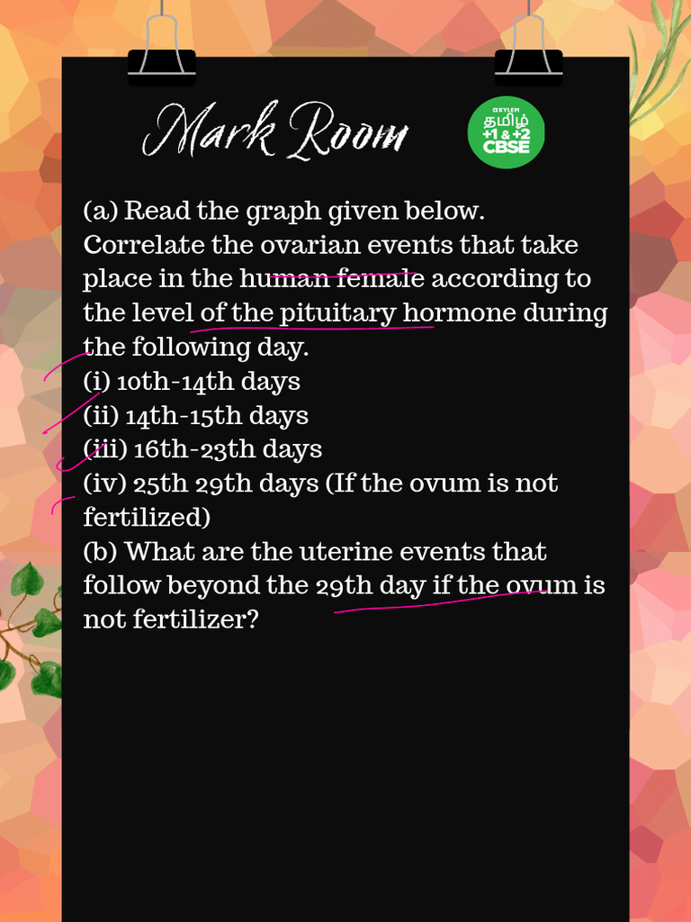 Mark Room | PDF