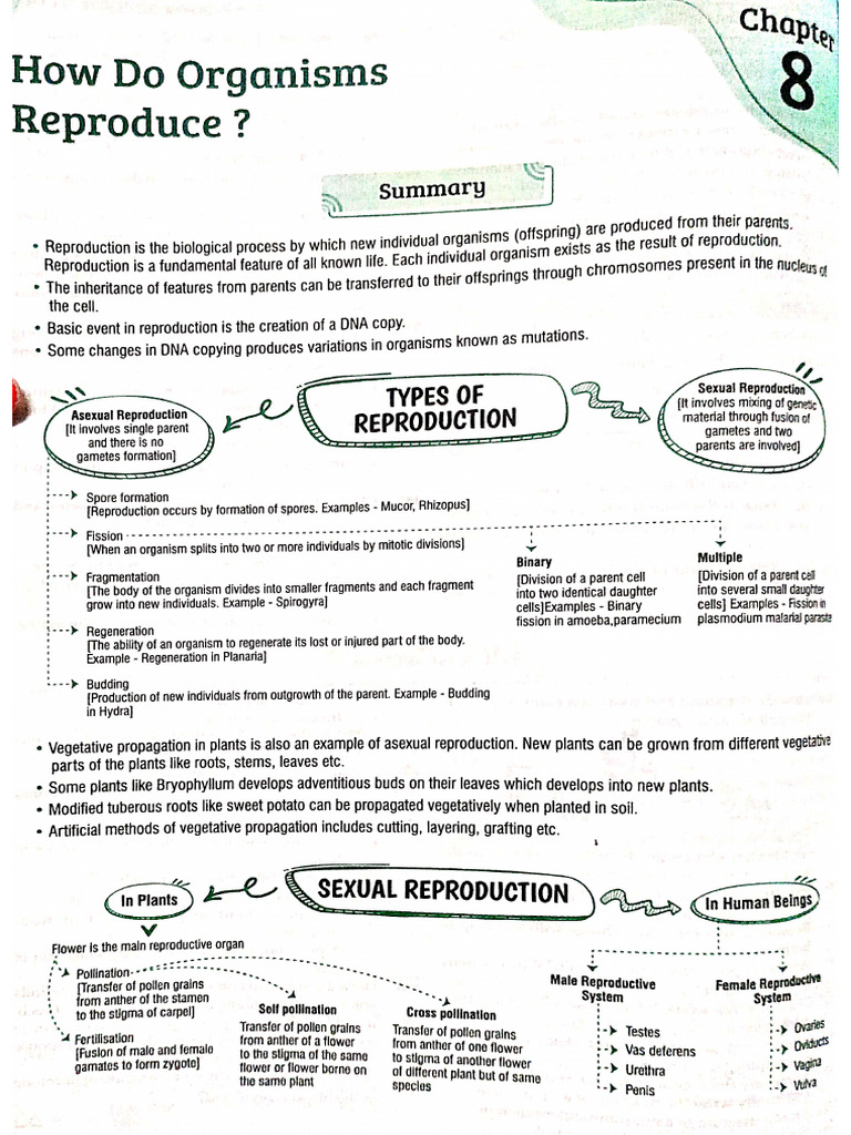 How Do Organisms Reproduce Pyqs and Discussion | PDF