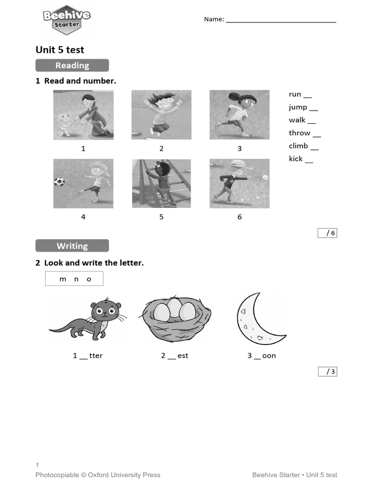 Beehive Tests Starter Unit Test 5 | PDF