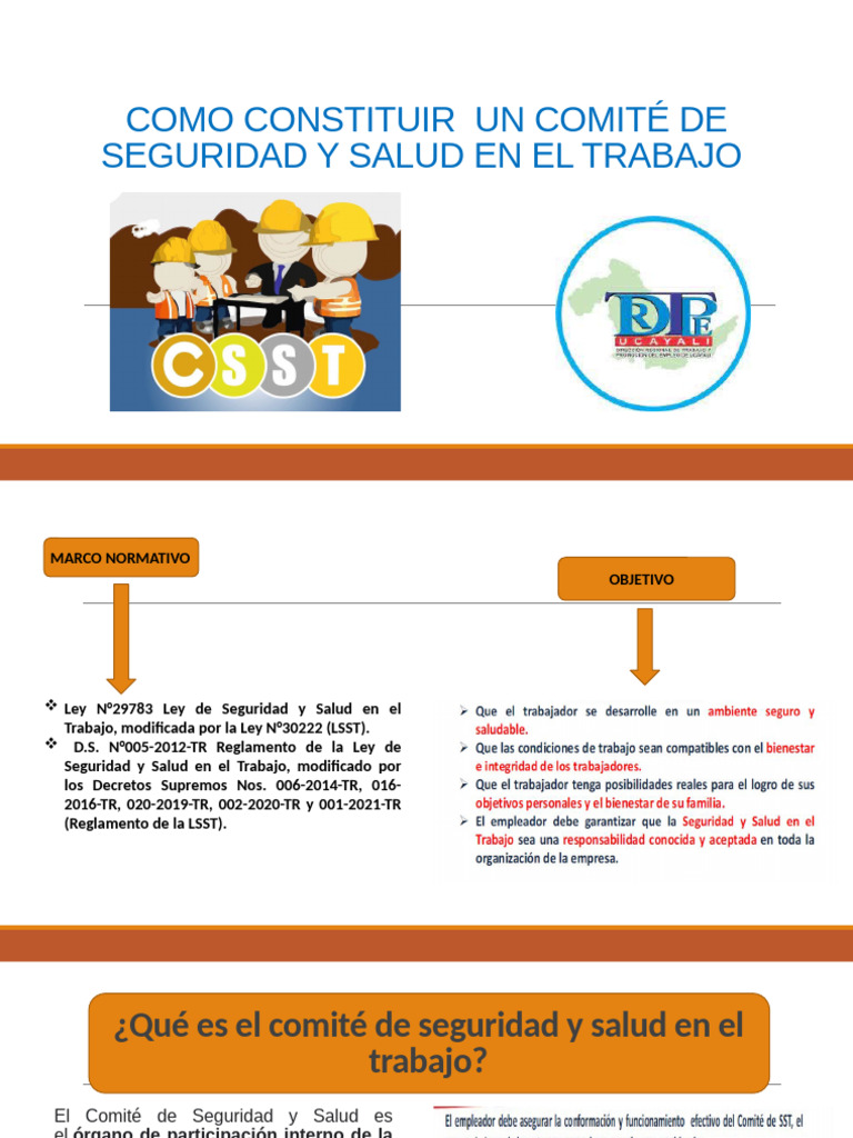 Cómo Formar un Comité de SST Eficaz | PDF