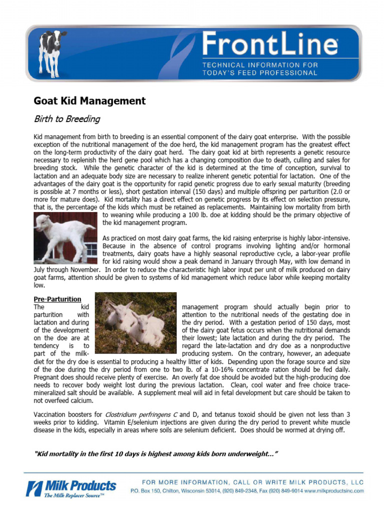 Goat Kid Management: Birth to Breeding | PDF | Dairy Cattle | Milk