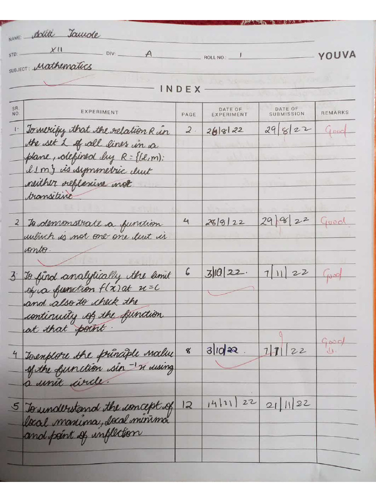 Maths Journal | PDF
