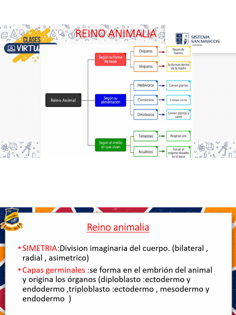 Características del Reino Animalia y Plantas | PDF | Hongo | Plantas