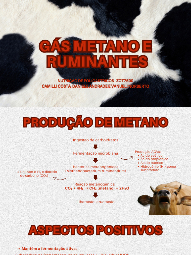 Metano em Ruminantes: Impactos e Soluções | PDF | Metano | Biogás