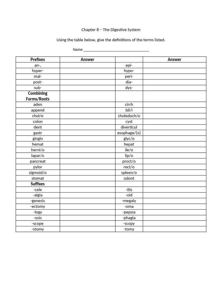 Digestive System Terminology Guide | PDF