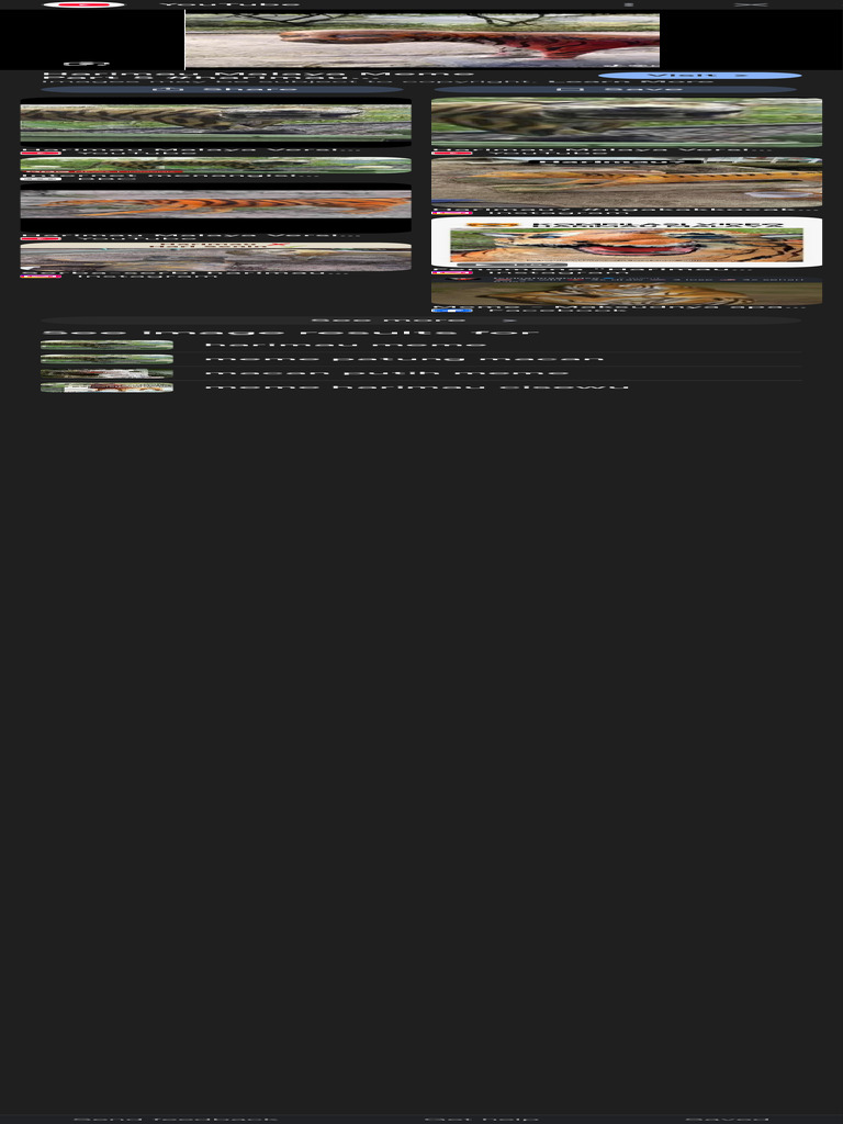 Meme Macan - Google Search 2 | PDF