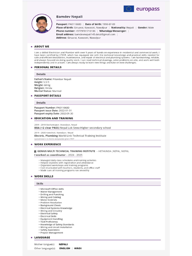 Dev Euro Pass CV | PDF