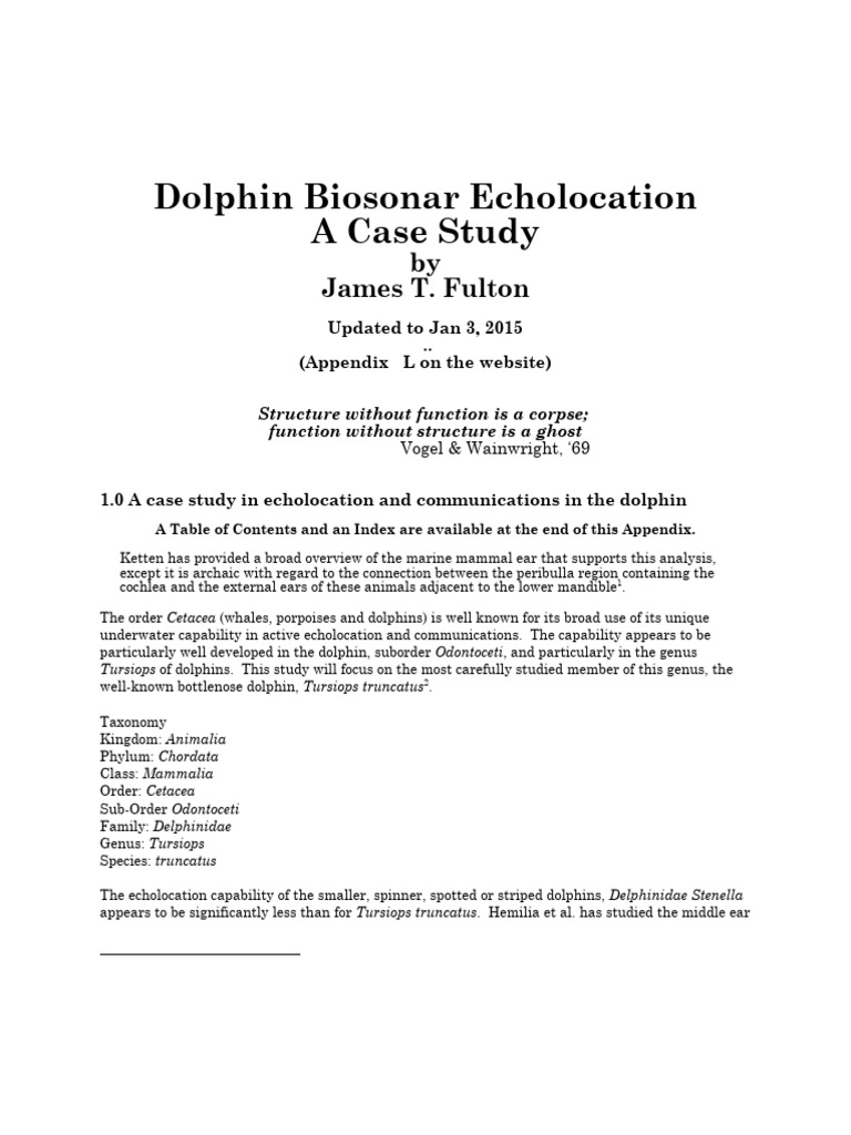 Dolphin Echolocation: Anatomy & Function | PDF | Dolphin | Cetacea