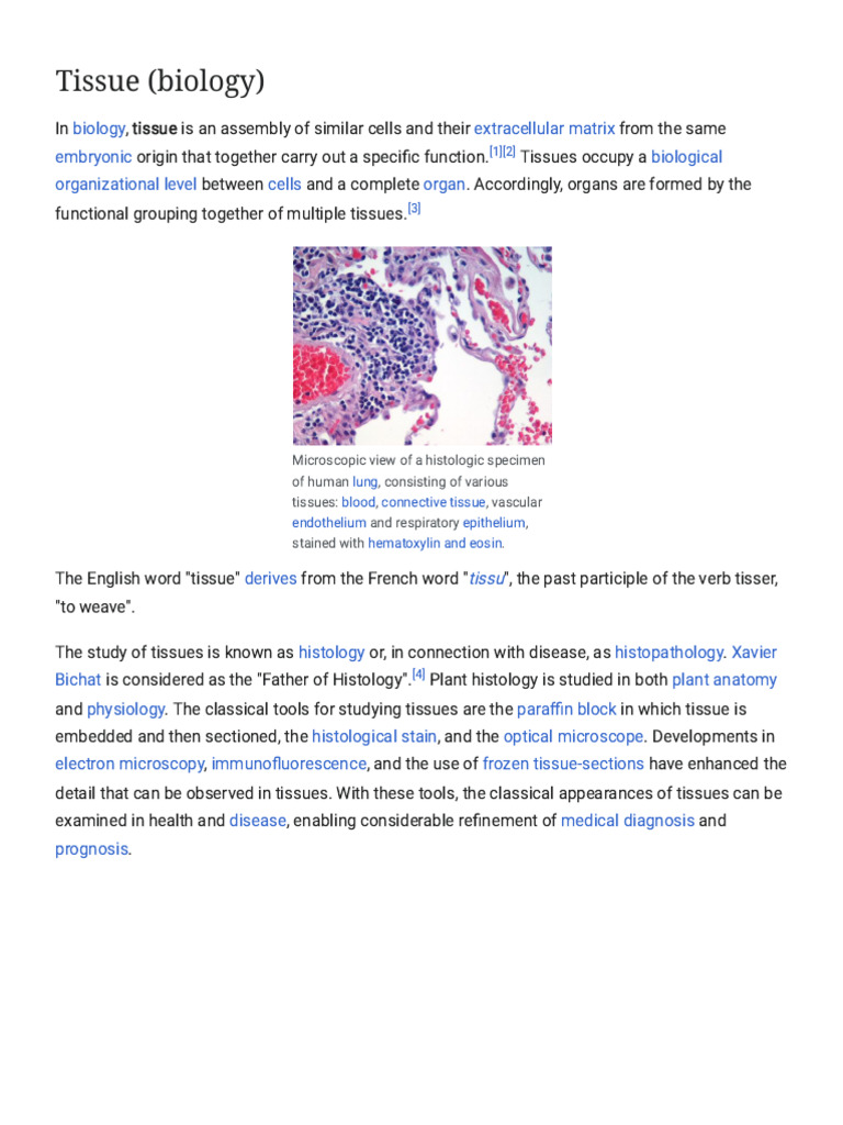 Tissue (Biology) - Wikipedia | PDF | Tissue (Biology) | Epithelium