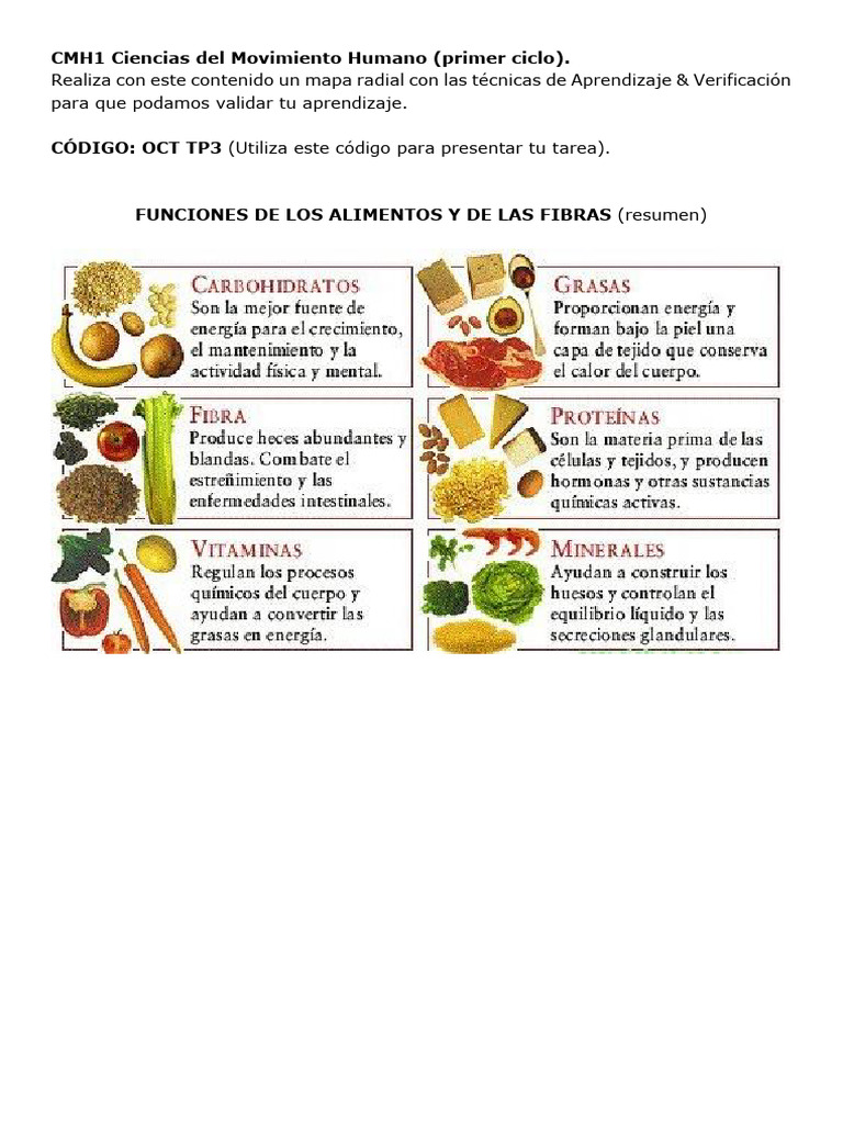 NG1-OCT-TP3-CMH1-ALIMENTOS-SU-FUNCION (1) | PDF