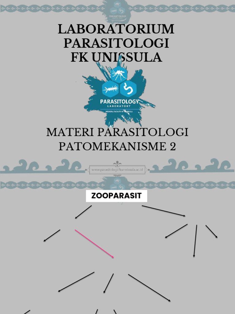 Panduan Parasitologi: Metazoa dan Protozoa | PDF